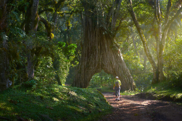 Adventure Hero - 6 Reasons to Climb Tanzania’s Mount Meru